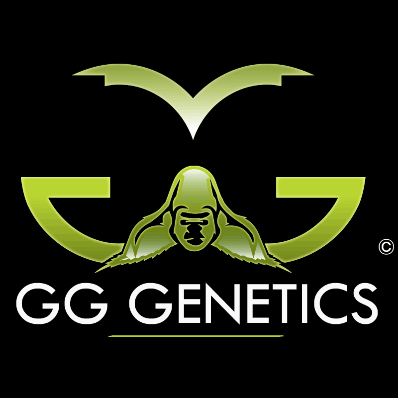 GG Genetics – Seed Vault